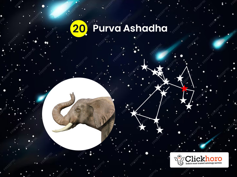 Characteristics of Purvashada Nakshatra